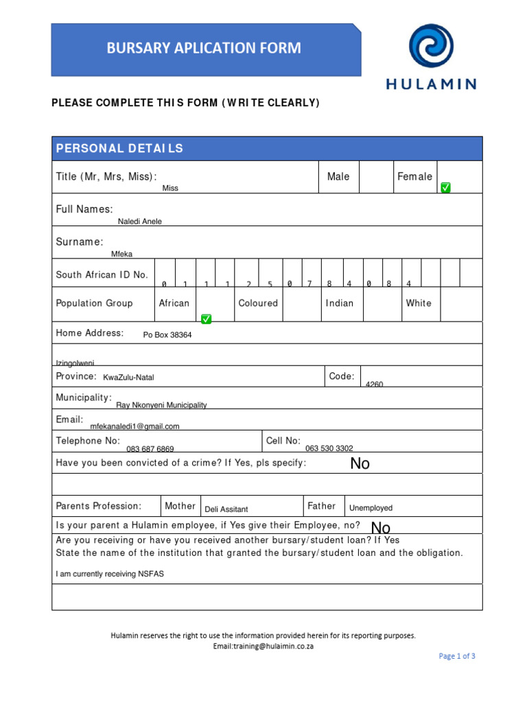 Hulamin Bursary Application Form 2025 | PDF