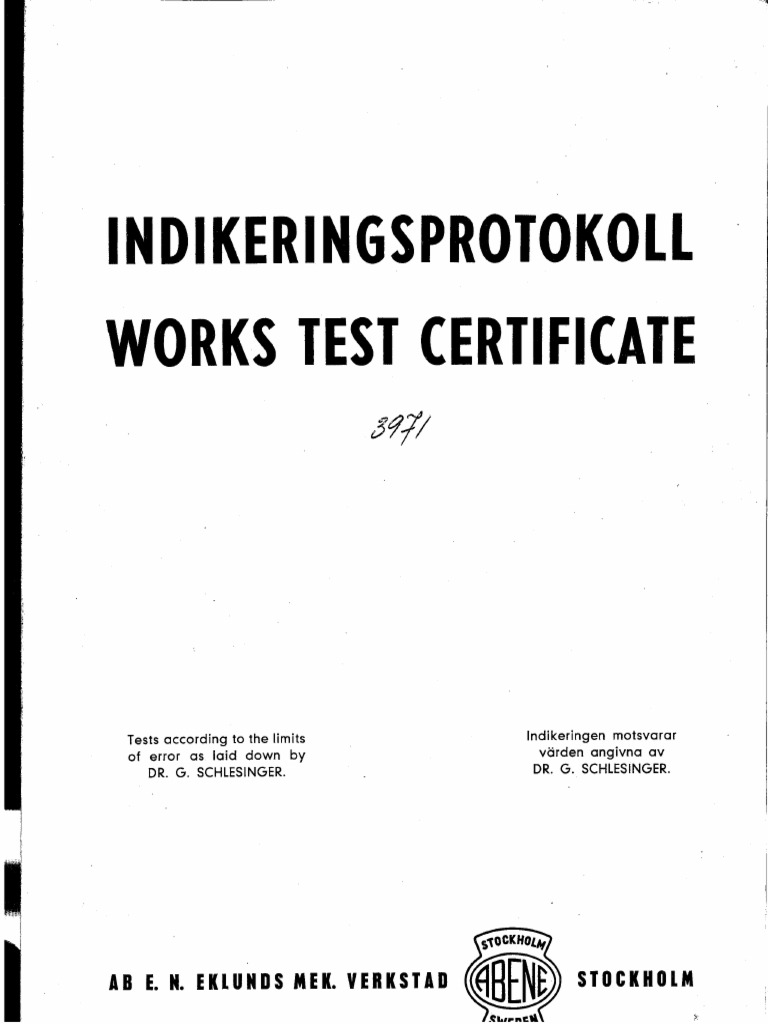 Abene Inspection | PDF