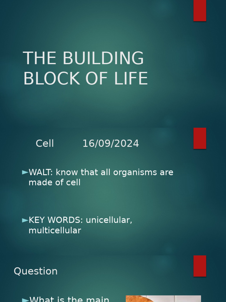 Microscope Pdf Microscope Lenses