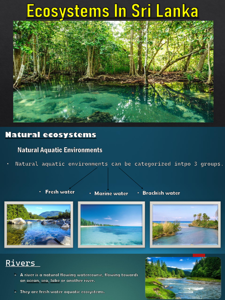 Ecosystems of Sri Lanka's Aquatic Environments | PDF