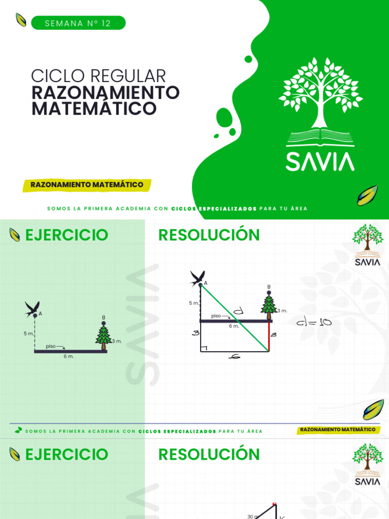 RM Semana 12 Sesión 1 | PDF
