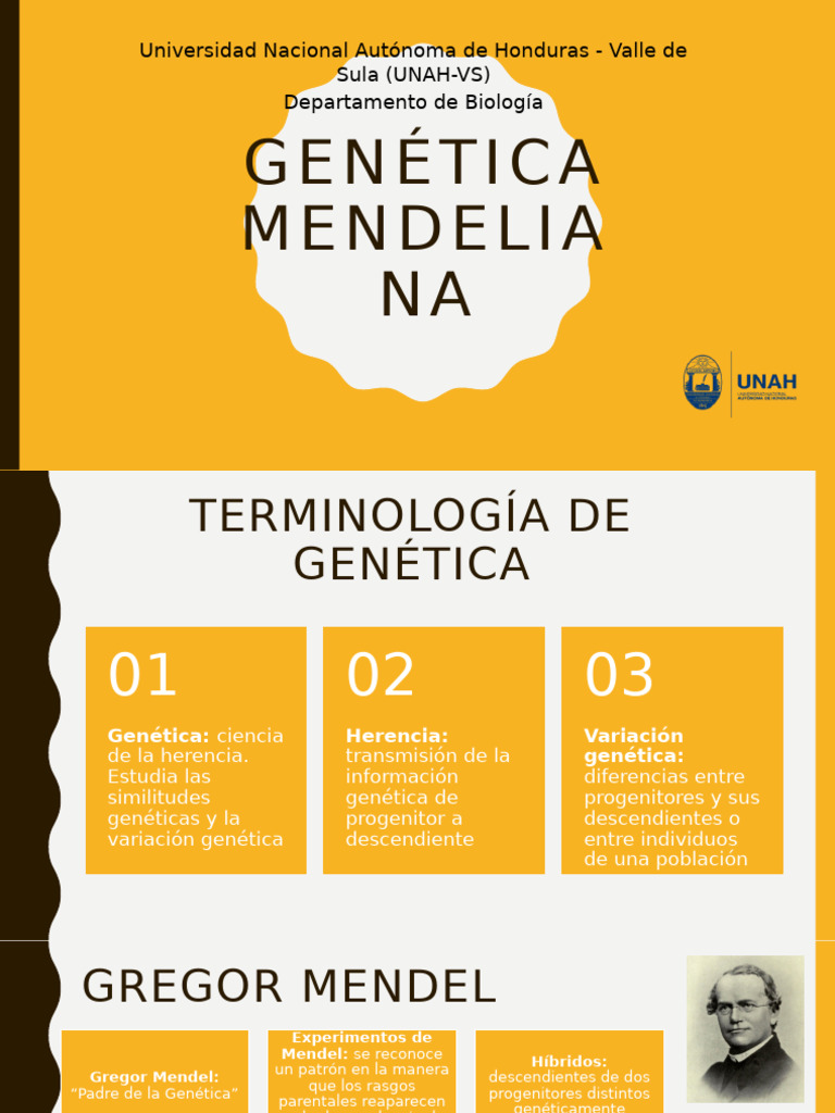 Principios de Genética Mendeliana | PDF | Dominancia (Genética) | Alelo