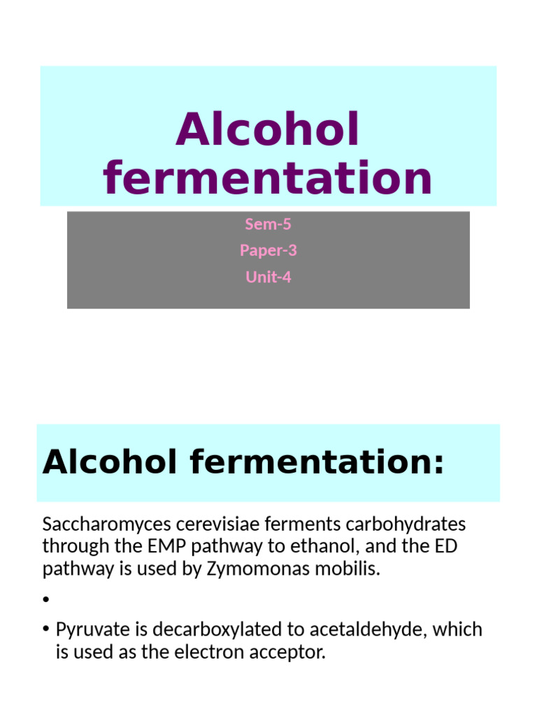 Alcohol Fermentation Insights | PDF | Glycolysis | Cellular Respiration