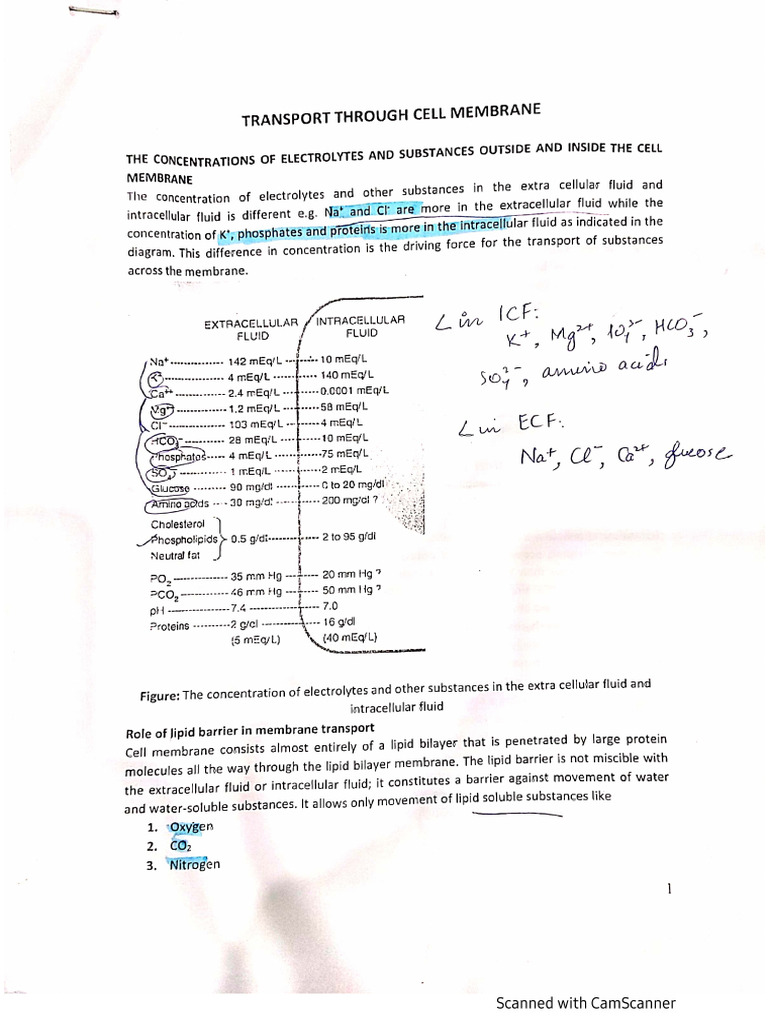 Membrane Transport | PDF