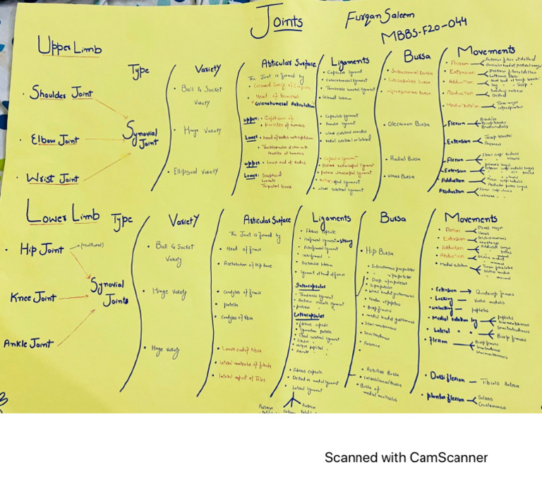 Joints in Tabulated Form (Furqan Saleem | PDF