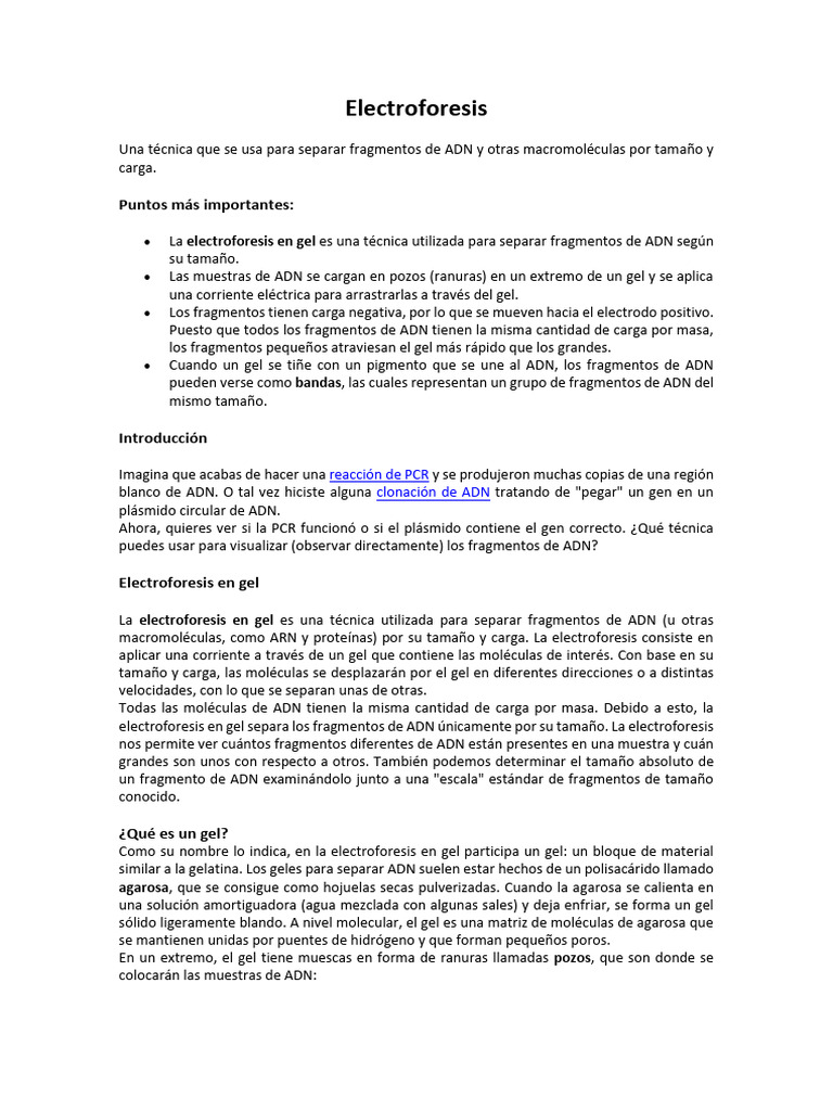 Electroforesis | PDF | Adn | Electroforesis