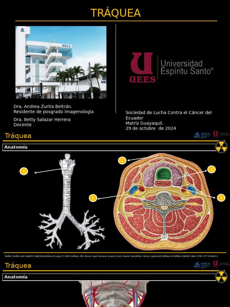 Traquea | PDF | Enfermedades y trastornos | Medicina CLINICA