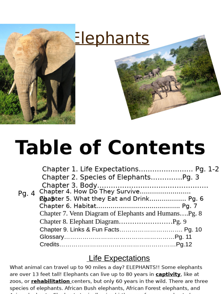Elephants | PDF | Elephant | Zoology