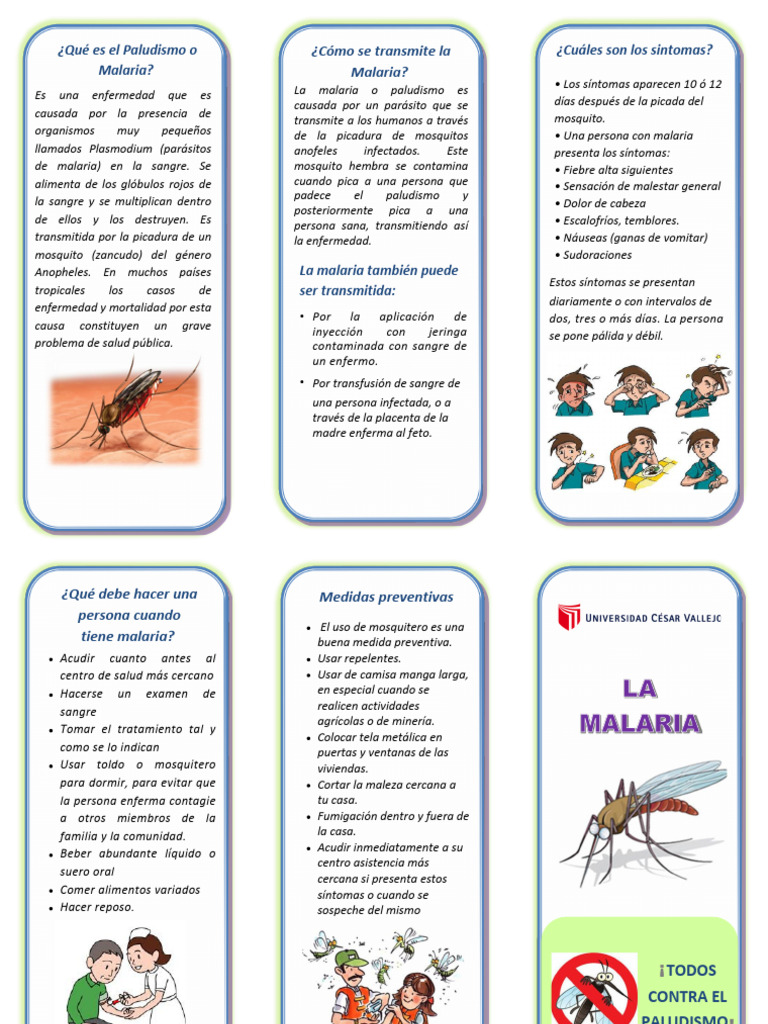 Guía sobre Malaria: Síntomas y Prevención | PDF | Malaria | Inmunología