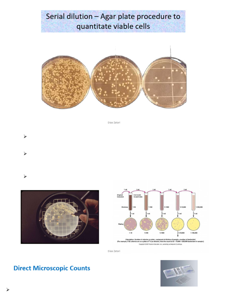 Serial Dilution - Agar Plate Procedure To Quantitate Viable Cells | PDF | Colony Forming Unit ...