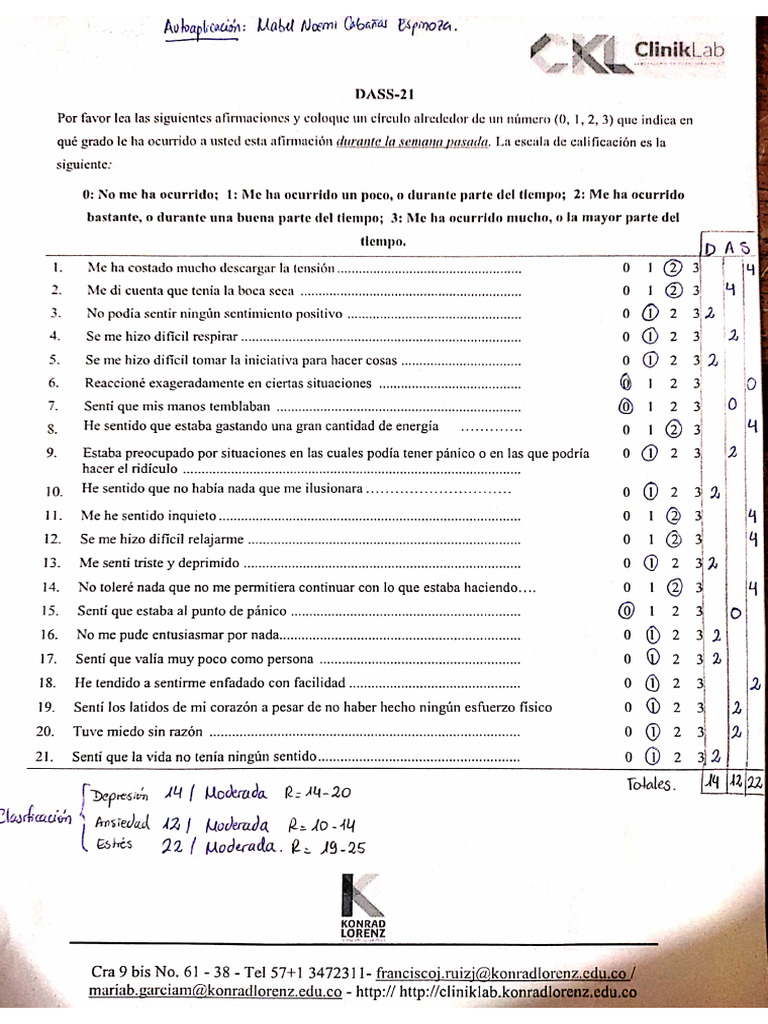 Test DASS-21 - Ejemplo | PDF
