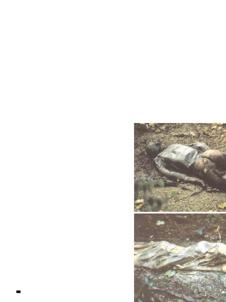 Descomposicion Cadaverica | PDF | Decomposition