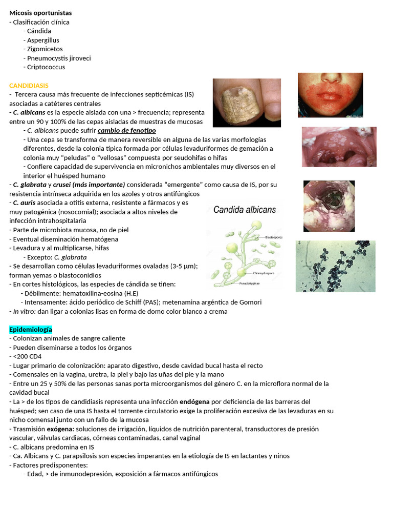 Micosis Oportunistas | PDF | Candidiasis | VIH / SIDA