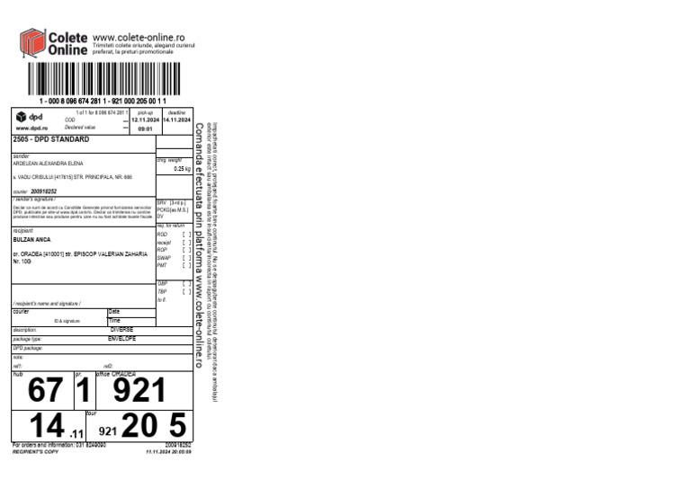 Awb Colete Online 11112024 DPD 80966742811 A4 | PDF