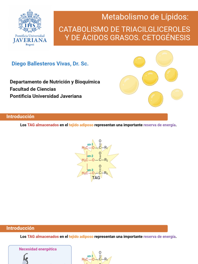 Oxidación de Ácidos Grasos | PDF | Bioquímica | Química