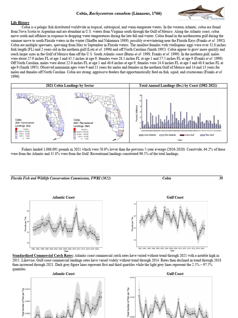 Status Trends Cobia | PDF | Overfishing | Fish And Humans