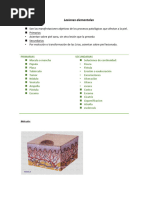 Dermatologia Informe de Escama y Costra 1 | PDF | Piel | Enfermedades y ...