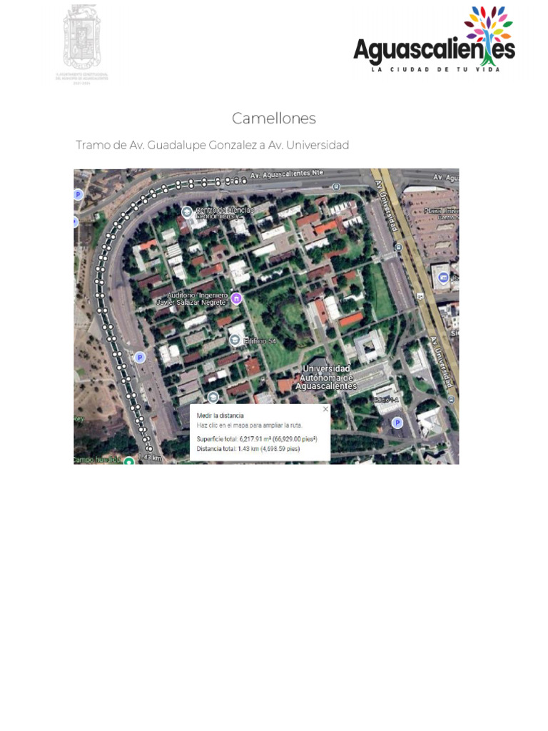 Camellones | PDF