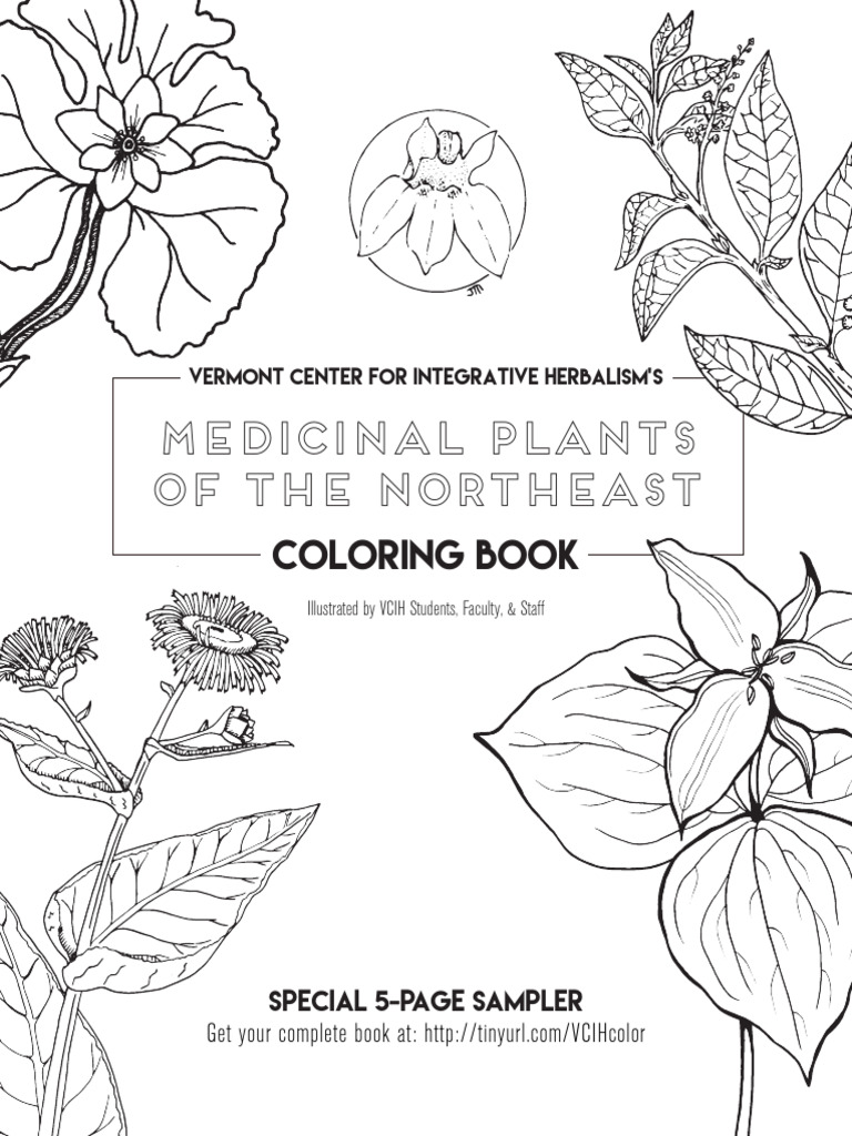 Medicinal Plants Coloring Sampler | PDF | Medicinal Herbs And Fungi ...