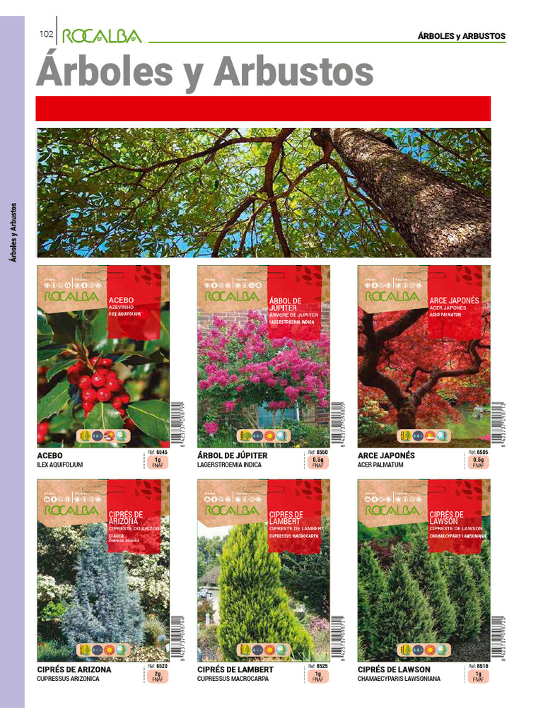 Àrboles, Arbustos y Tropicales | PDF | Plantas | Arboles