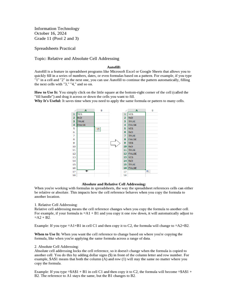 Relative and Absolute Cell Addressing | PDF