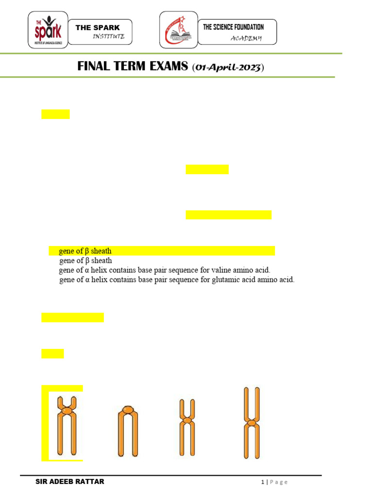 XII Biology Adeeb Rattar Mdcatian's Sthetho Sandeep Bhagwani | PDF ...