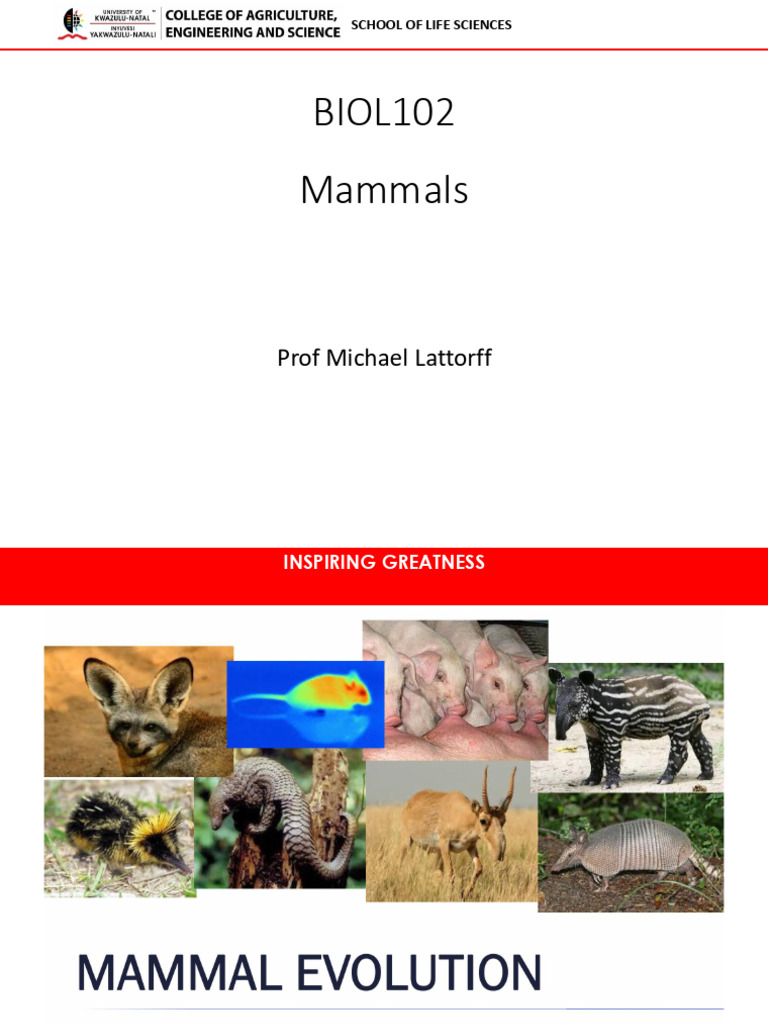 BIOL102 Mammals | PDF