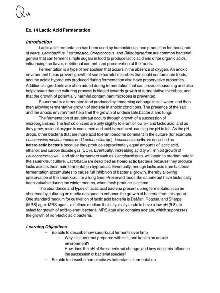 Ex 14 Lactic Acid Fermentation | PDF