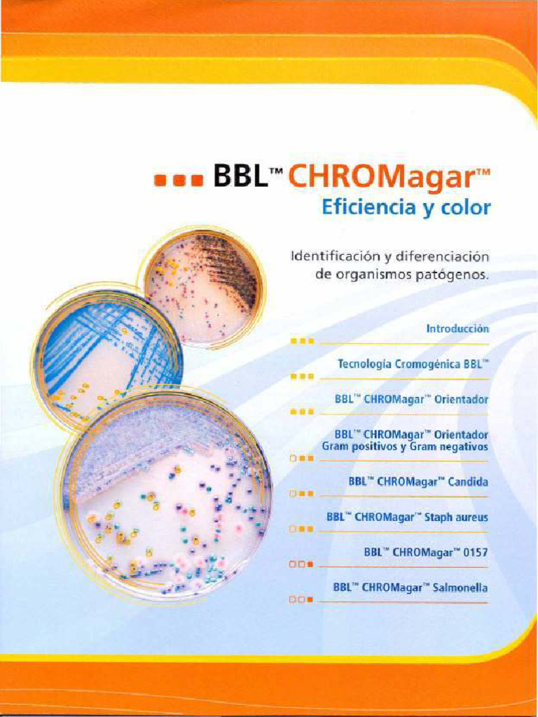 Chromo Agar | PDF