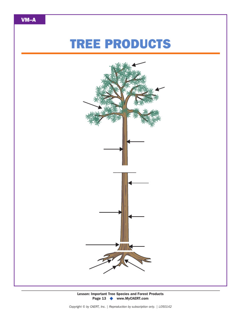 Ian Draper - TreeProducts &uses Label Diagram | PDF | Trees | Wood