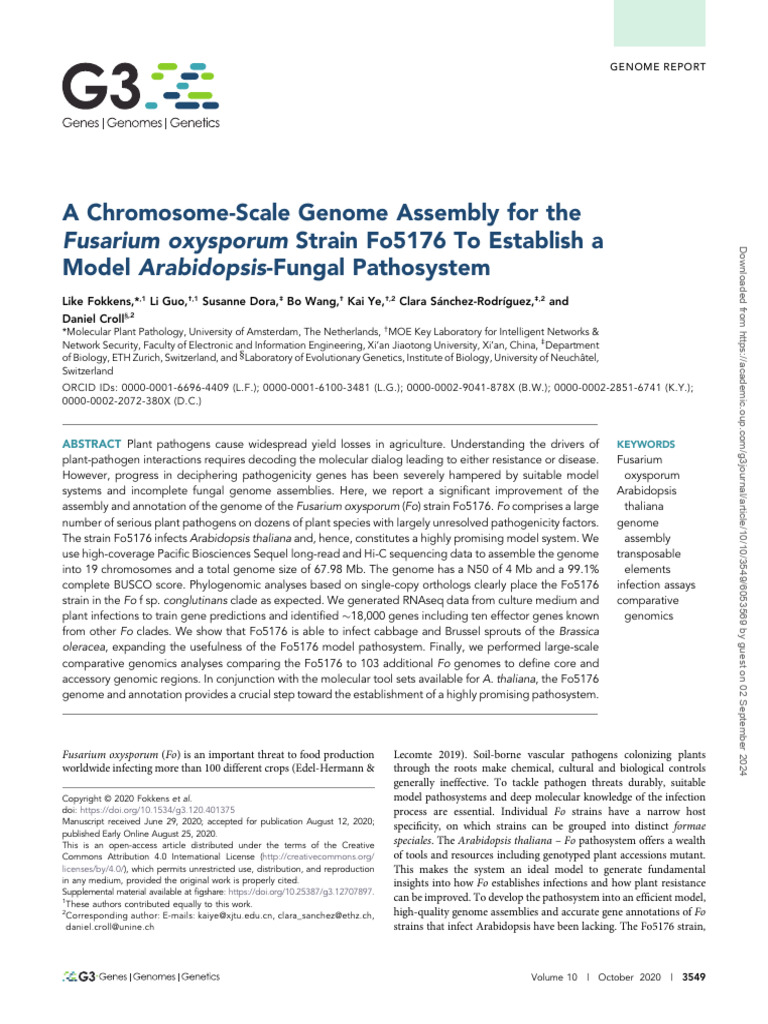 A Chromosome-Scale Genome Assembly For The Fusarium Oxysporum Strain ...