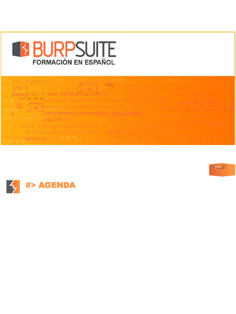 BurpSuite-Guide | PDF | Servidor proxy | Ingeniería de software