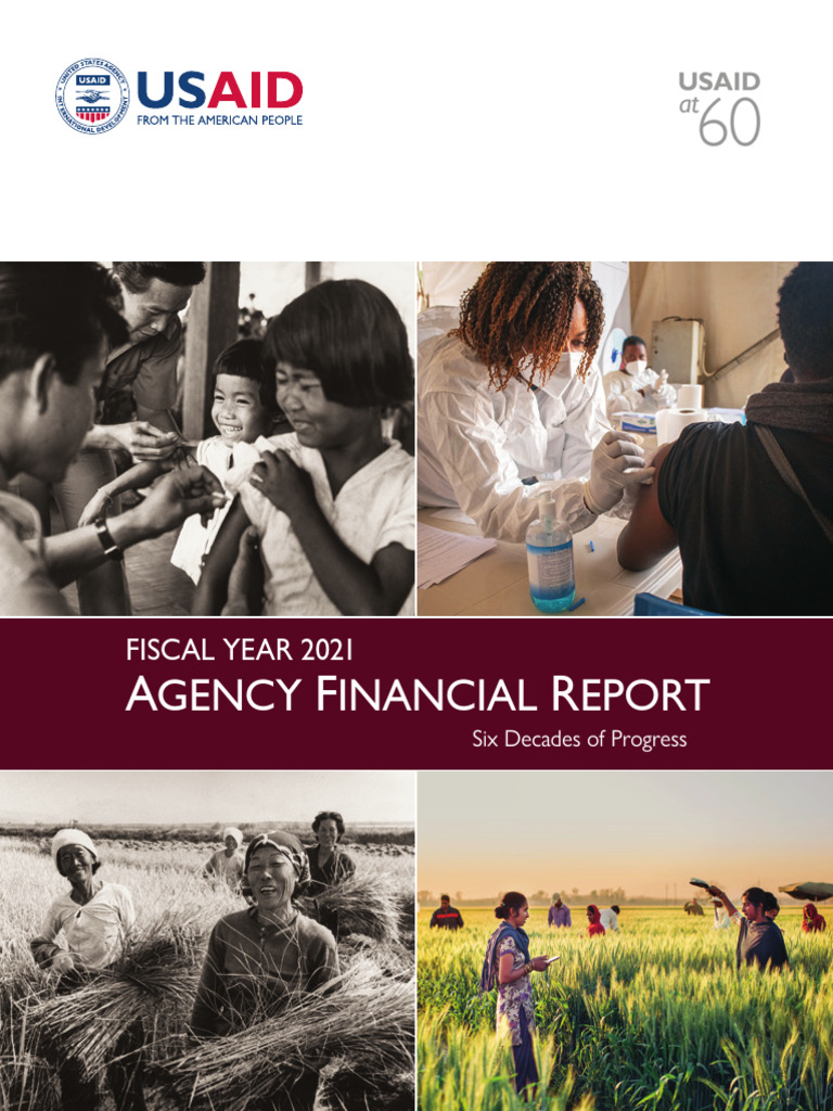 USAID FY 2021 Financial Report | PDF | United States Agency For ...