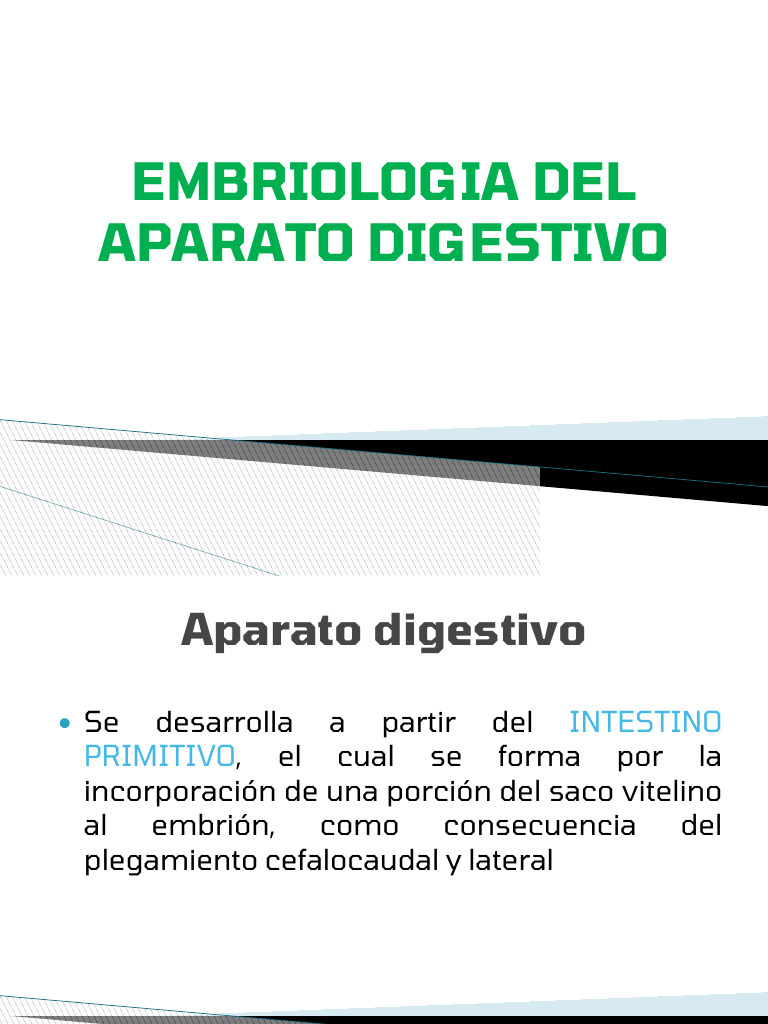 Embriología del Aparato Digestivo | PDF | Páncreas | Tracto ...