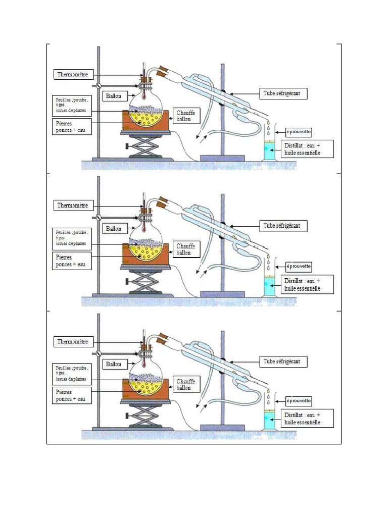 Montage Hydrodistillation | PDF