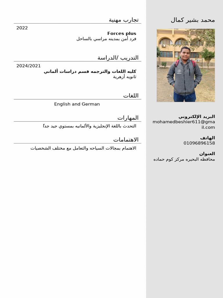 Arabic CV | PDF