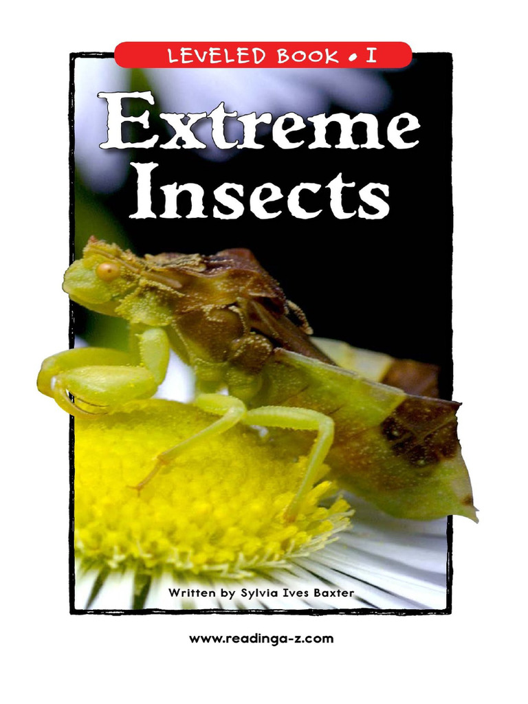 Extreme Insects Level I | PDF