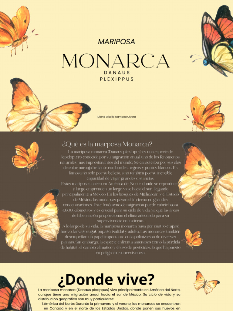 Mariposa Monarca | PDF