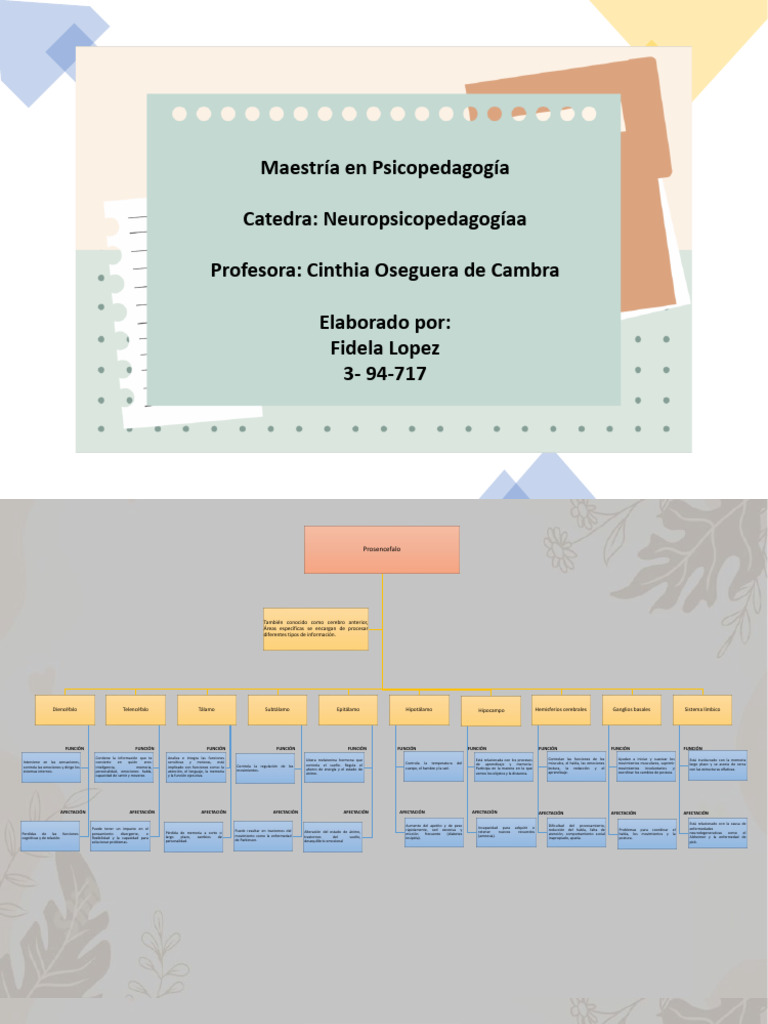Mapas de Caja Fidela López | PDF | Cerebro | Neurociencia