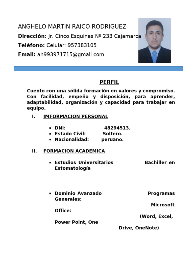Perfil Profesional de Anghelo Martín Raico Rodríguez | PDF
