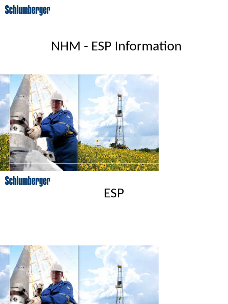 NHM - Schlumberger Presentation | PDF | Electric Motor | Pump