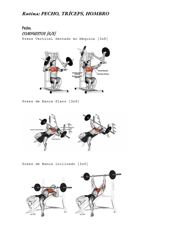 Pecho, Tríceps Hombro | PDF