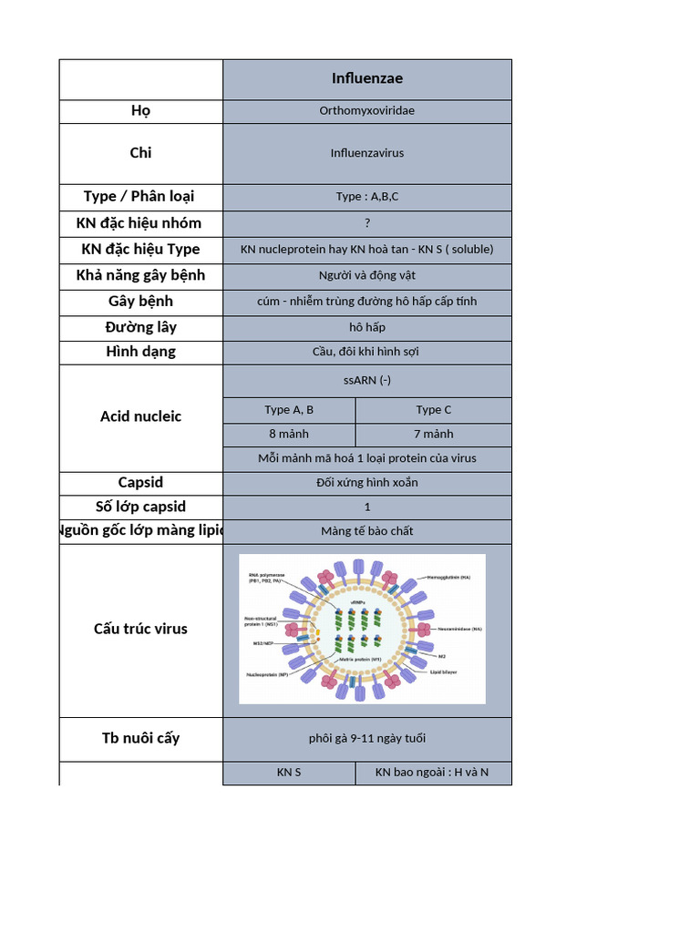 T NG H P Virus | PDF