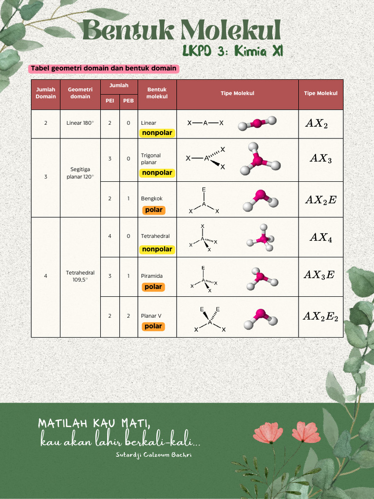 Geometri Molekul & Hibridisasi | PDF
