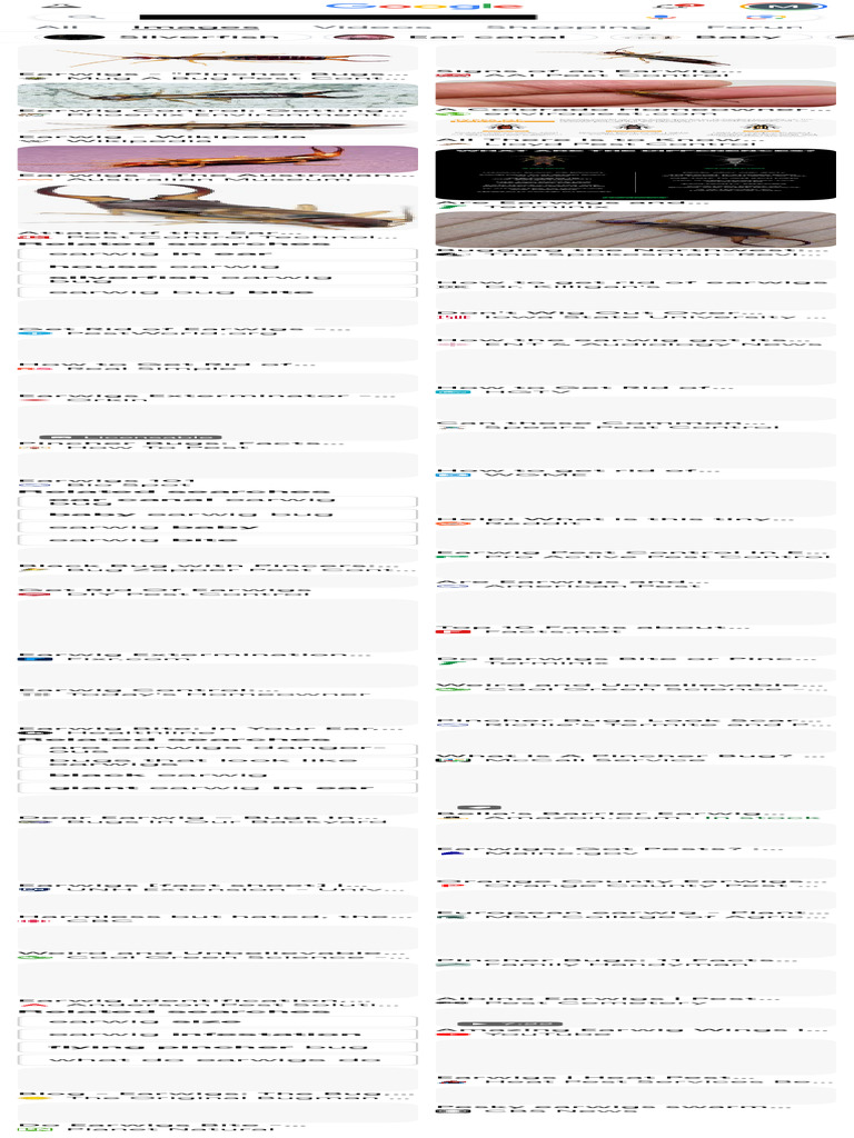 Earwig Bug - Google Search | PDF | Insects | Pest Control