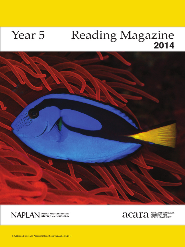 Year 5 NAPLAN (Reading Magazine) | PDF