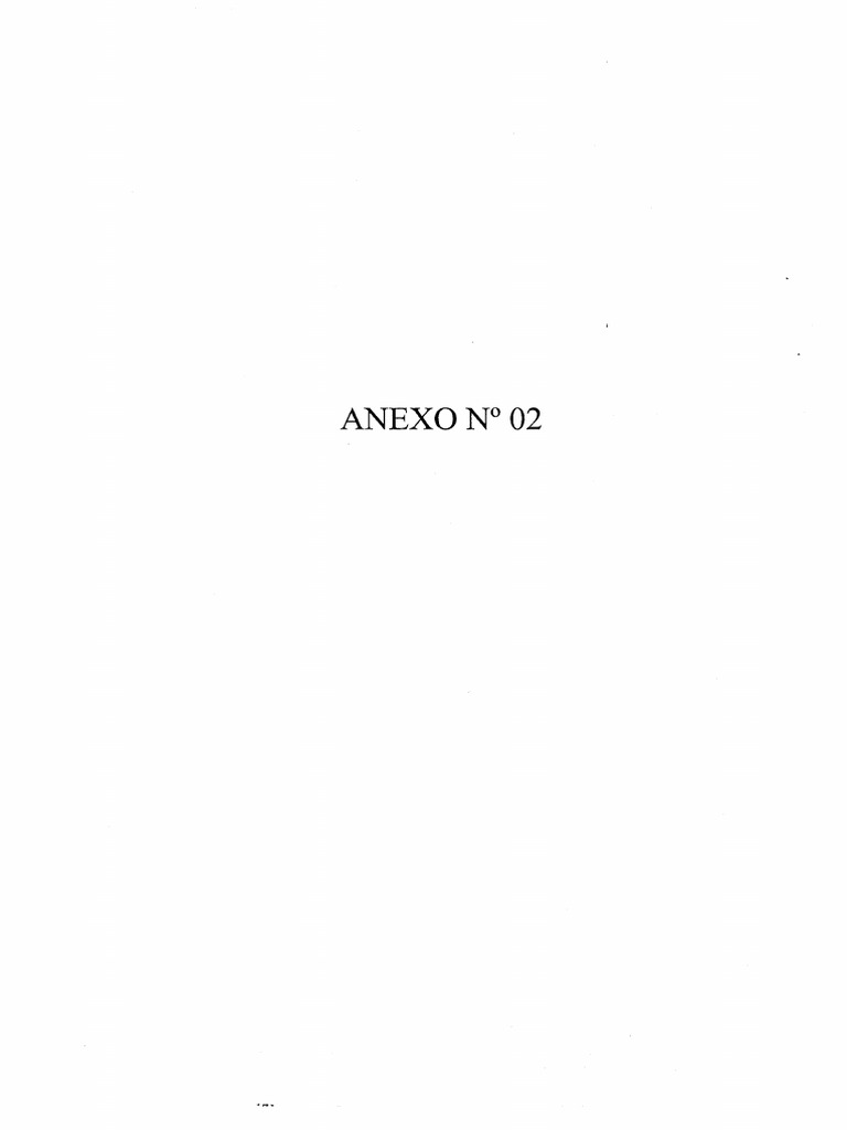 Anexo N2 Ord 321 | PDF