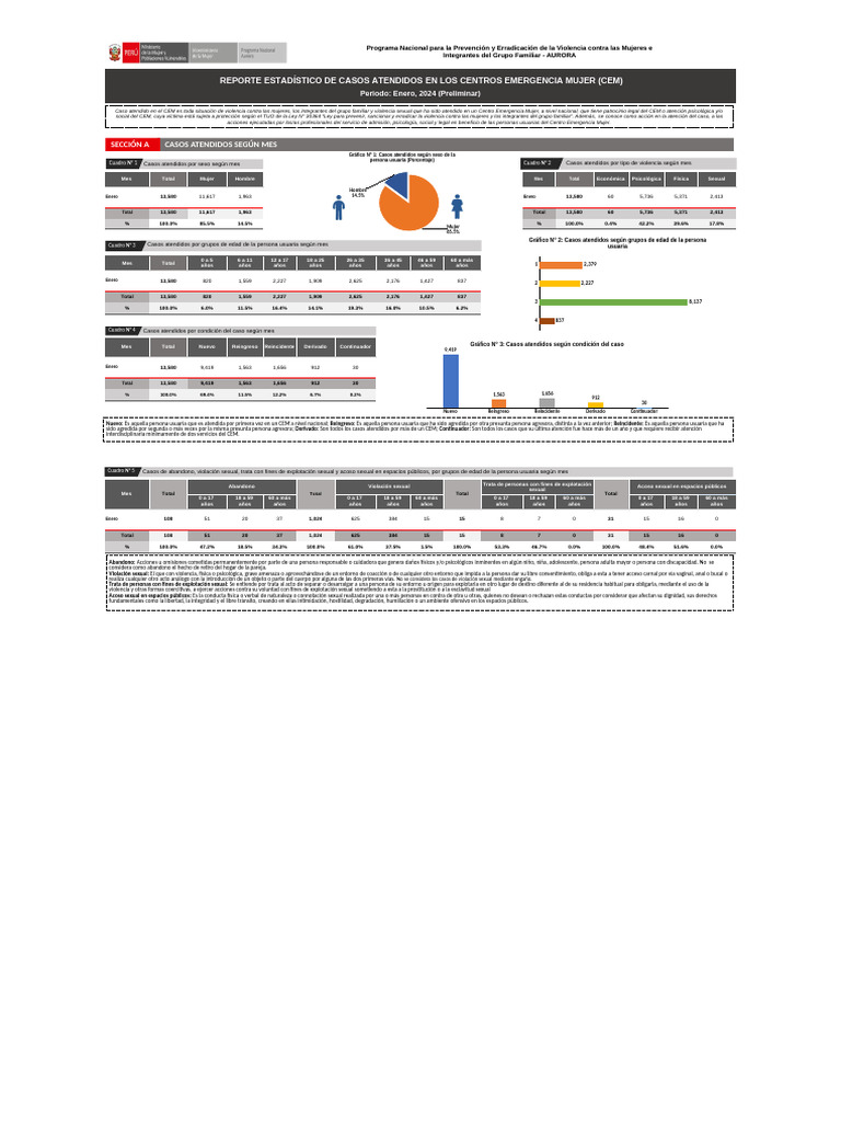 Casos Del CEM en 2024 | PDF | La violencia contra las mujeres | Violación