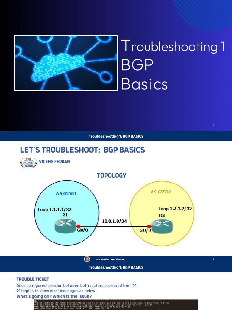 BGP Troubleshooting Guide | PDF