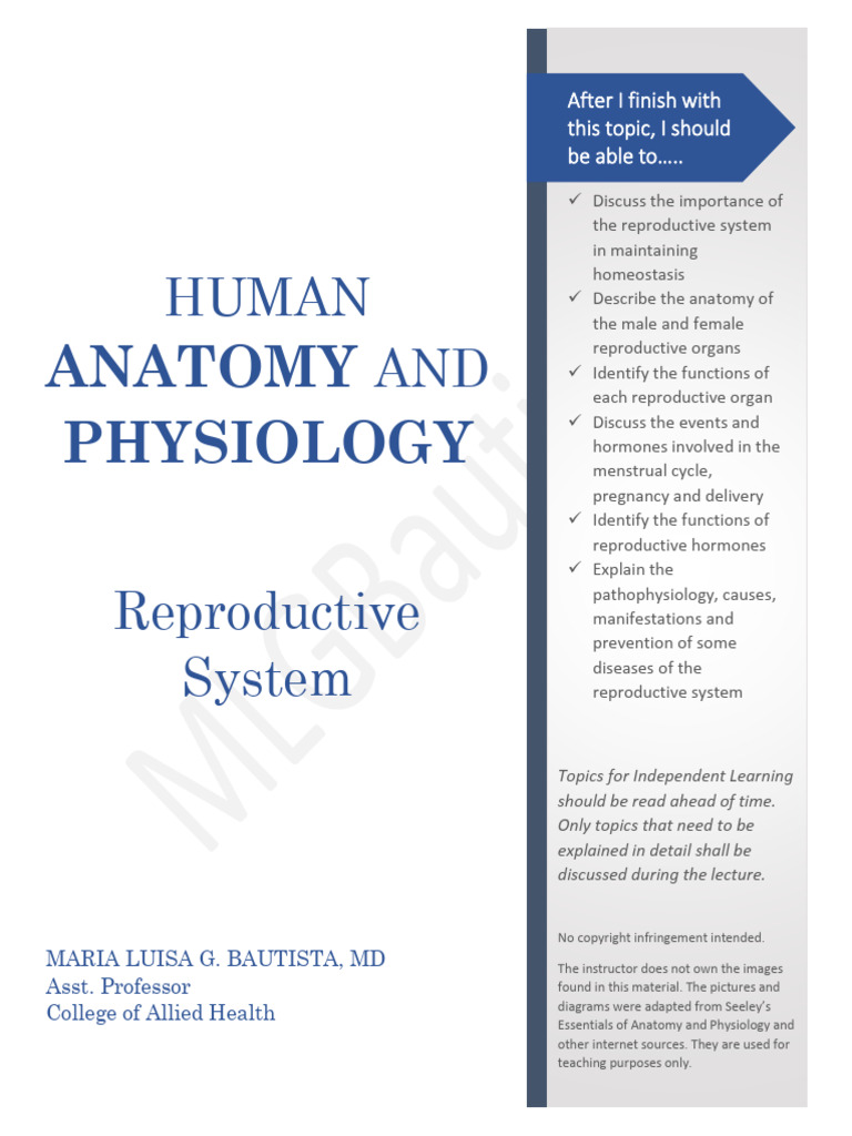 CM17 - Reproductive System | PDF | Uterus | Reproductive System